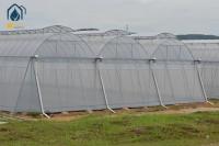 China Energy Saving Large Scale Agriculture Multispan Greenhouse For Tropical Regions for sale