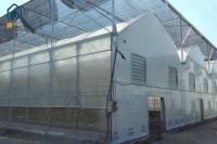 China Modern Multispan Greenhouse Flower Growing With Automatic Control System for sale