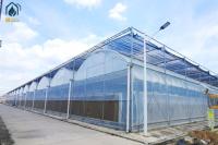 China Plastic Multi Span Greenhouse Galvanized Steel Custom Greenhouses for sale