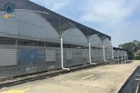 China Multi Span Large Commercial Greenhouse Galvanized Steel Organic Farming Greenhouse for sale