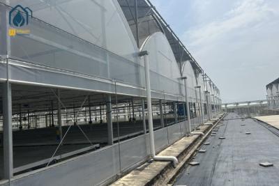 China UV Resistant Organic Greenhouses Multi Span Organic Farm Greenhouse With Water Saving Solutions for sale