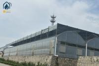 China Turnkey Multi Span Greenhouse Modular Large Plastic Greenhouse Advanced Irrigation for sale