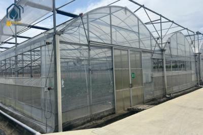 China Customized Multi Span Greenhouse Commercial Greenhouse System For Tomatoes and Peppers for sale