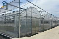China Multi Span Greenhouse For Sustainable Farming And Soil Free Farming for sale