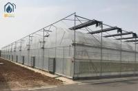 China Gothic Plastic Poly Film Greenhouse Tropical Sawtooth Type Greenhouse For Agricultural Vegetable Tomato for sale