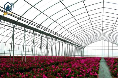 China Commercial Prefabricated Greenhouse Modular Plastic Film Tunnel Greenhouse Large for sale