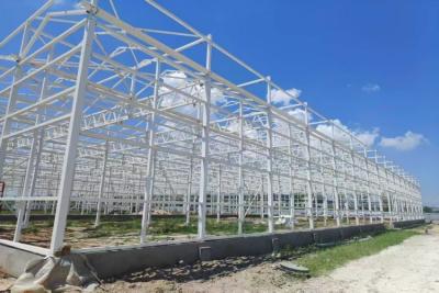China Hot Dip Galvanized Greenhouse Transparent Plastic Film Greenhouse For Planting Blueberry for sale