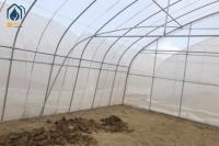 China Single Span Plastic Polytunnel Greenhouse Agricultural Vegetable Hot Houses Transparent for sale
