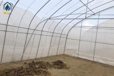 China Single Span Plastic Polytunnel Greenhouse Agricultural Vegetable Hot Houses Transparent for sale