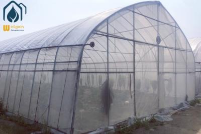 China Arched Tunnel Greenhouse OEM Agricultural Green Houses For Small Vegetables Farming for sale
