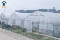 China Hot Dip Galvanized Pipe Greenhouse Energy Efficient Greenhouse For Agriculture for sale