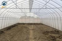 China Agriculture High Tunnel Green Houses Single Span Metal Frame Greenhouse Customized for sale