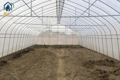 China Agriculture High Tunnel Green Houses Single Span Metal Frame Greenhouse Customized for sale