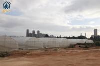 China Customized Tunnel Greenhouse Transparent PO Film Greenhouse For Flowers Plant for sale