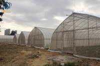 China Versatile Stainless Steel Greenhouse Customized Hoop Greenhouse With Hydroponic Growing System for sale