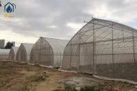 China PE Film Commercial Green Houses Small Agriculture Greenhouse Customized for sale