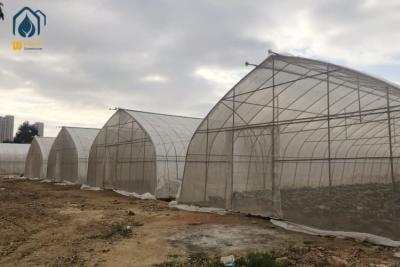 China PE Film Commercial Green Houses Small Agriculture Greenhouse Customized for sale