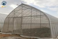 China Oval Tube Multi Span Film Greenhouse Arched Commercial Greenhouse Frames for sale