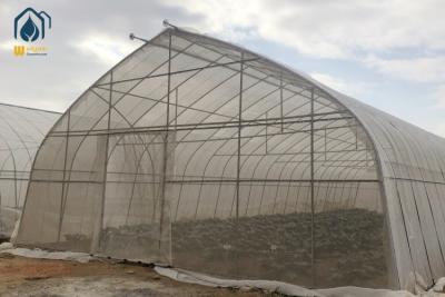 China Oval Tube Multi Span Film Greenhouse Arched Commercial Greenhouse Frames for sale