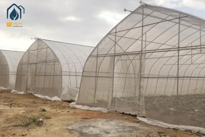 China Commercial Agricultural Tunnel Greenhouse Large UV Protection Greenhouse for sale