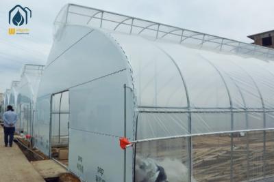 China Hot Galvanized Steel Frame Greenhouse Commercial Tunnel Vegetable Growing Greenhouse for sale