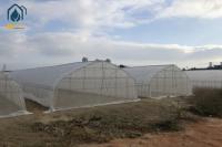 China Agricultural Tunnel Greenhouse Industrial Hydroponic System Greenhouse For Tomato And Cucumber for sale