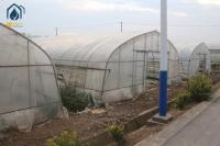 China Tomato Tunnel Greenhouse 2.5m - 4.5m Vegetable Hot House For Extended Harvests for sale