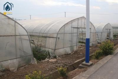 China Tomato Tunnel Greenhouse 2.5m - 4.5m Vegetable Hot House For Extended Harvests for sale