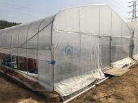 China PE PO Plastic Film Roll Up Greenhouse Vents Tunnel Green Houses For Agriculture for sale