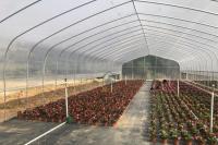 China Hot Dip Galvanized Agricultural Green House Arched Poly Tunnel Green Houses for sale