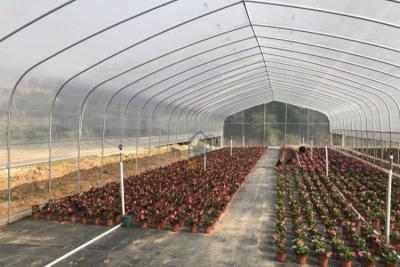 China Hot Dip Galvanized Agricultural Green House Arched Poly Tunnel Green Houses for sale