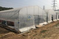 China Customized Size Tunnel Type Greenhouse Agricultural Solar Dryer Greenhouse Durable for sale