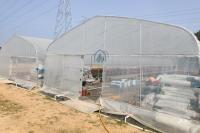 China Agriculture High Tunnel Greenhouse Heat Preservation / Rain Protection Walk In Greenhouse for sale