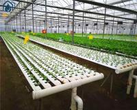 China Agricultural NFT Lettuce System Vertical Hydroponic System 100*50mm for sale