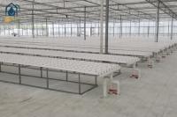 China Greenhouse Vegetables Lettuce Hydroponic System NFT Vertical Hydroponic Systems for sale