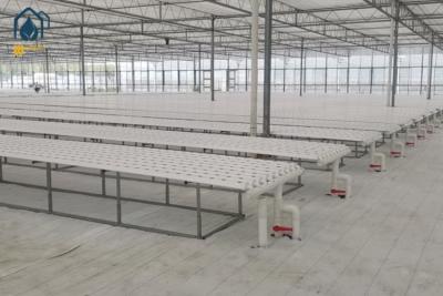 China Greenhouse Vegetables Lettuce Hydroponic System NFT Vertical Hydroponic Systems for sale