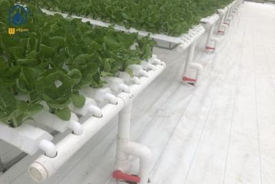 China White Hydroponic Growing System Flat Hydroponic PVC Pipes Food Grade for sale