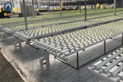 China 100mm Hydroponic Planting System Small Vegetable Planting Troughs Customized for sale