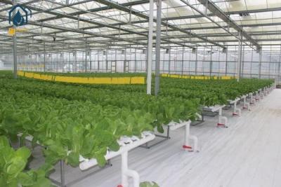 China 100*50mm Hydroponic Growing System Indoor NFT Hydroponic Channel Customized For Leafy Vegetables for sale