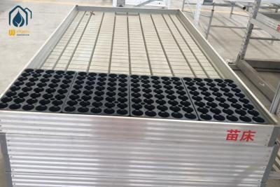 China Vegetable Ebb And Flow Trays Hydroponics Greenhouse Growing Trays Commercial for sale