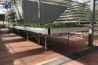 China Plastic Hydroponic Ebb And Flow Table UV Protective Hydroponics Flood Table Customized for sale