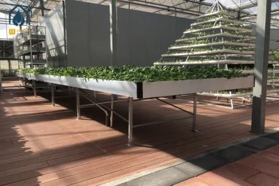 China Plastic Hydroponic Ebb And Flow Table UV Protective Hydroponics Flood Table Customized for sale