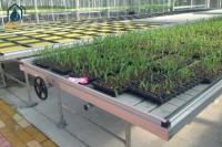 China Agricultural Ebb And Flow Rolling Benches Indoor Grow Room Benches for sale