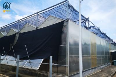 China Agriculture Polycarbonate Greenhouse Commercial PC Board Greenhouse Customized for sale