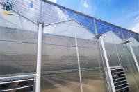 China Large Polycarbonate Tunnel Greenhouse Agricultural PC Sheet Greenhouse  for sale