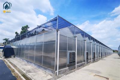 China Crop Growth Polycarbonate Greenhouse Snow Resistant Aluminium Frame Greenhouses for sale