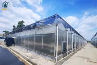 China Corrosion Resistant Polycarbonate Greenhouse Strong Steel Framed Greenhouse for sale