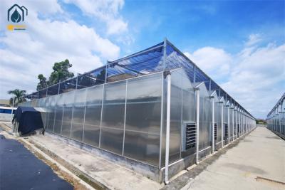 China Corrosion Resistant Polycarbonate Greenhouse Strong Steel Framed Greenhouse for sale