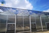 China High Yield Farming Polycarbonate Greenhouse UV Resistant Flower Farm Greenhouse for sale