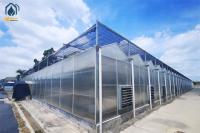 China Heavy Duty Polycarbonate Sheet Greenhouse Rust Resistanct Hydroponic Growing System Greenhouse for sale
